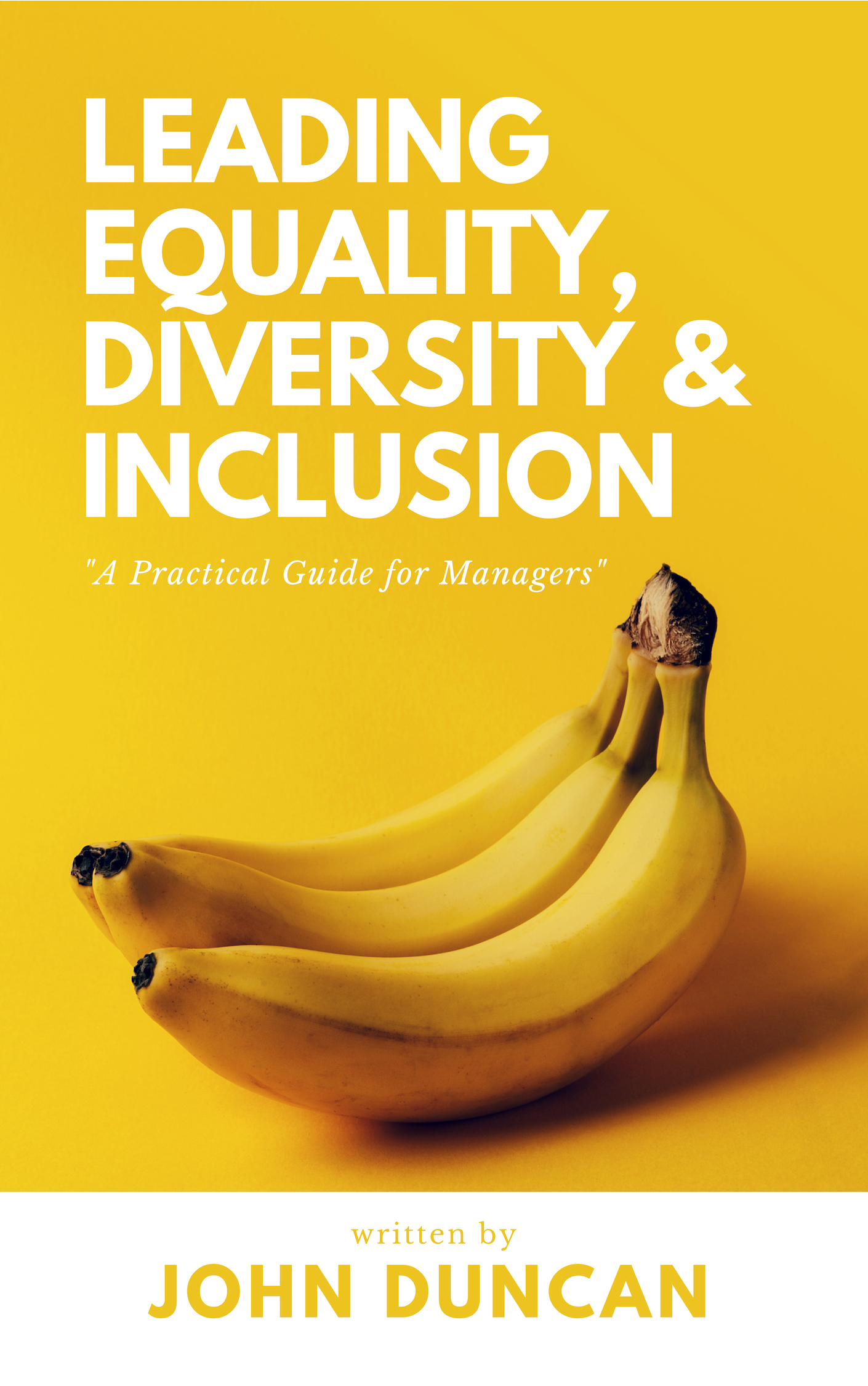 Leading Equality, Diversity & Inclusion – A Practical Guide for ...